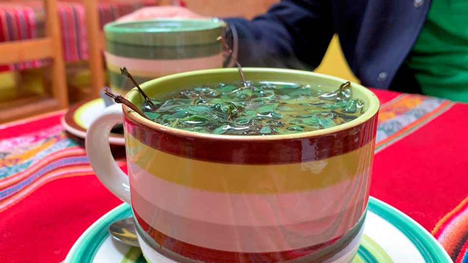 Natural Teas and Infusions You Can and Should Try in Cusco