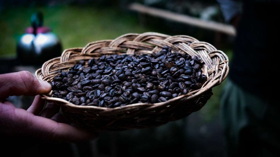 Java or Bust: What Makes Peruvian Coffee the World’s Very Best?
