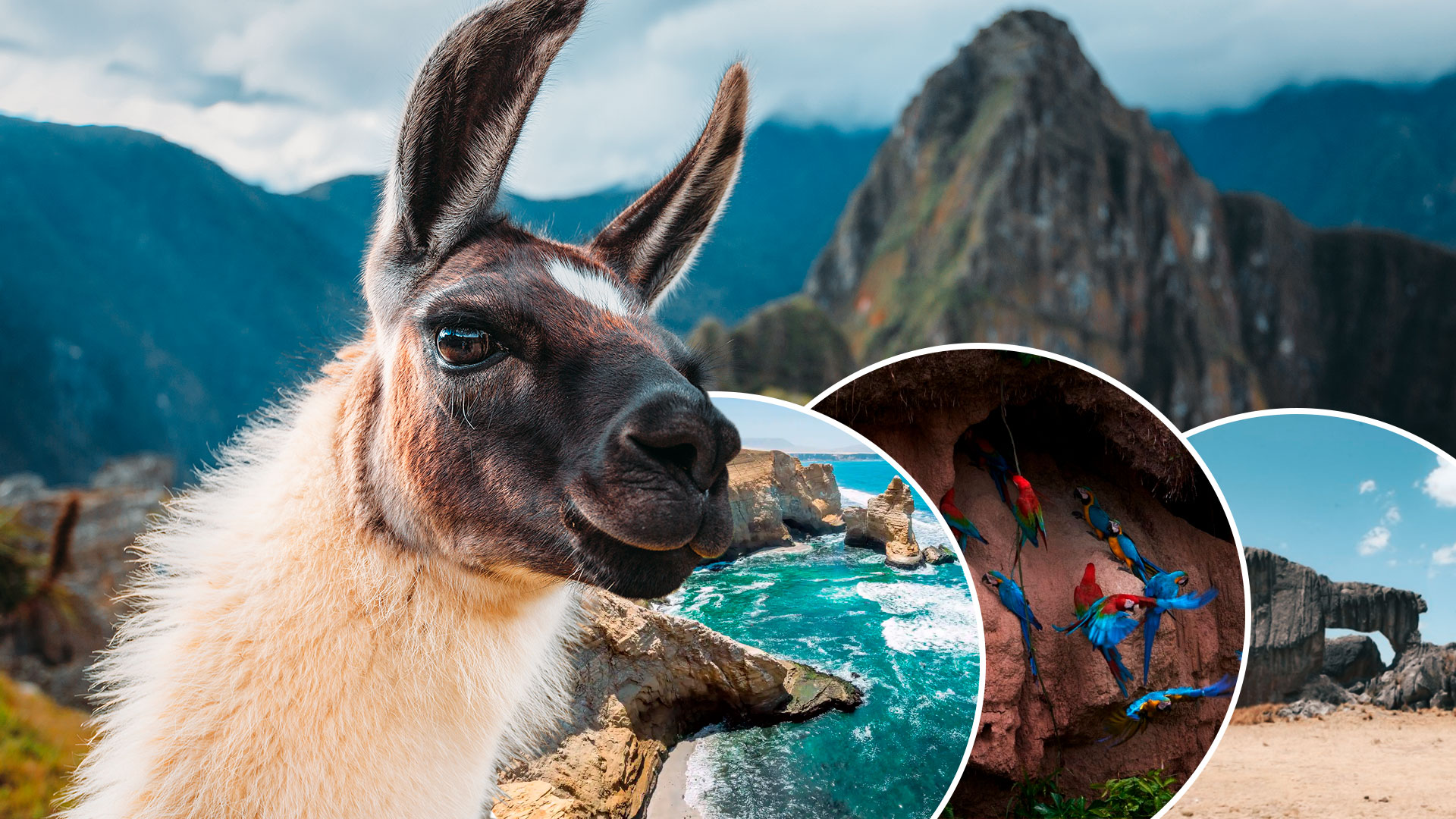 Peru’s 10 Most Visited National Parks