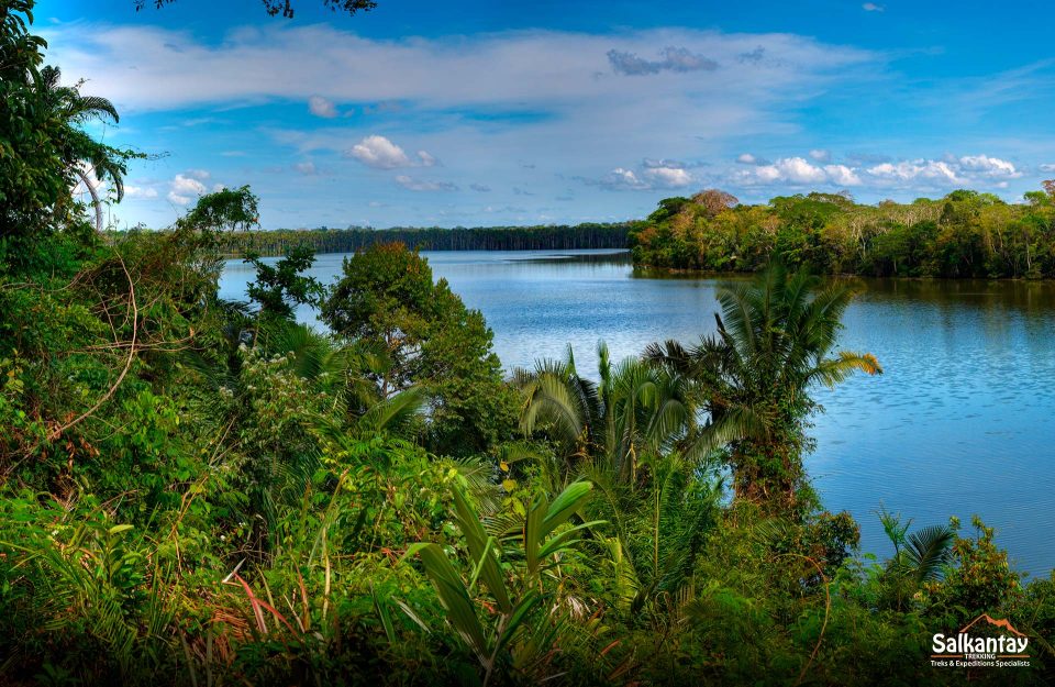 The Charm of the Forests in Peru: Landscapes and Biodiversity in Nature