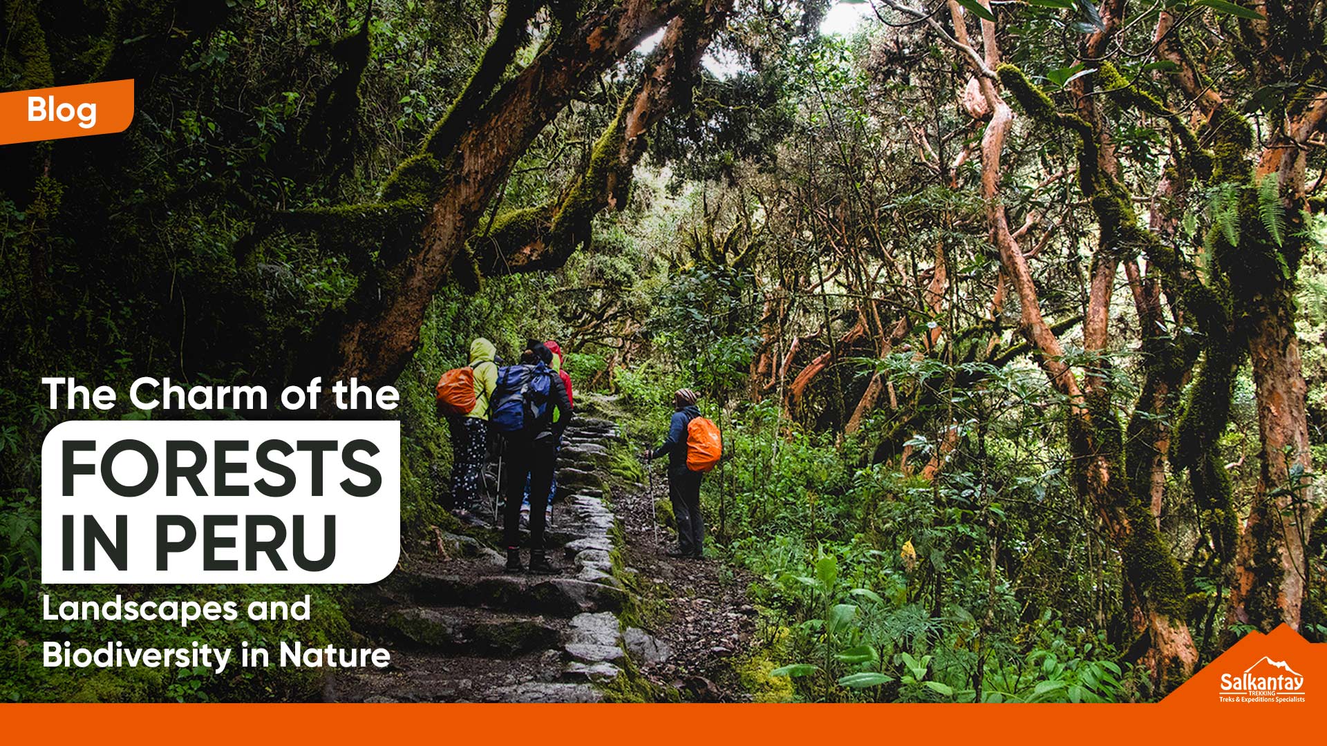 The Charm of the Forests in Peru: Landscapes and Biodiversity in Nature