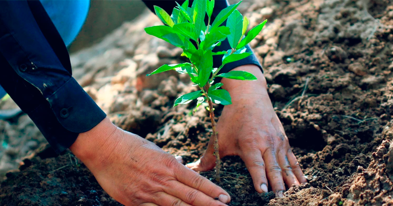 Saving Nature: Environmental Responsibility | TAKING CARE OF NATURE FIRST