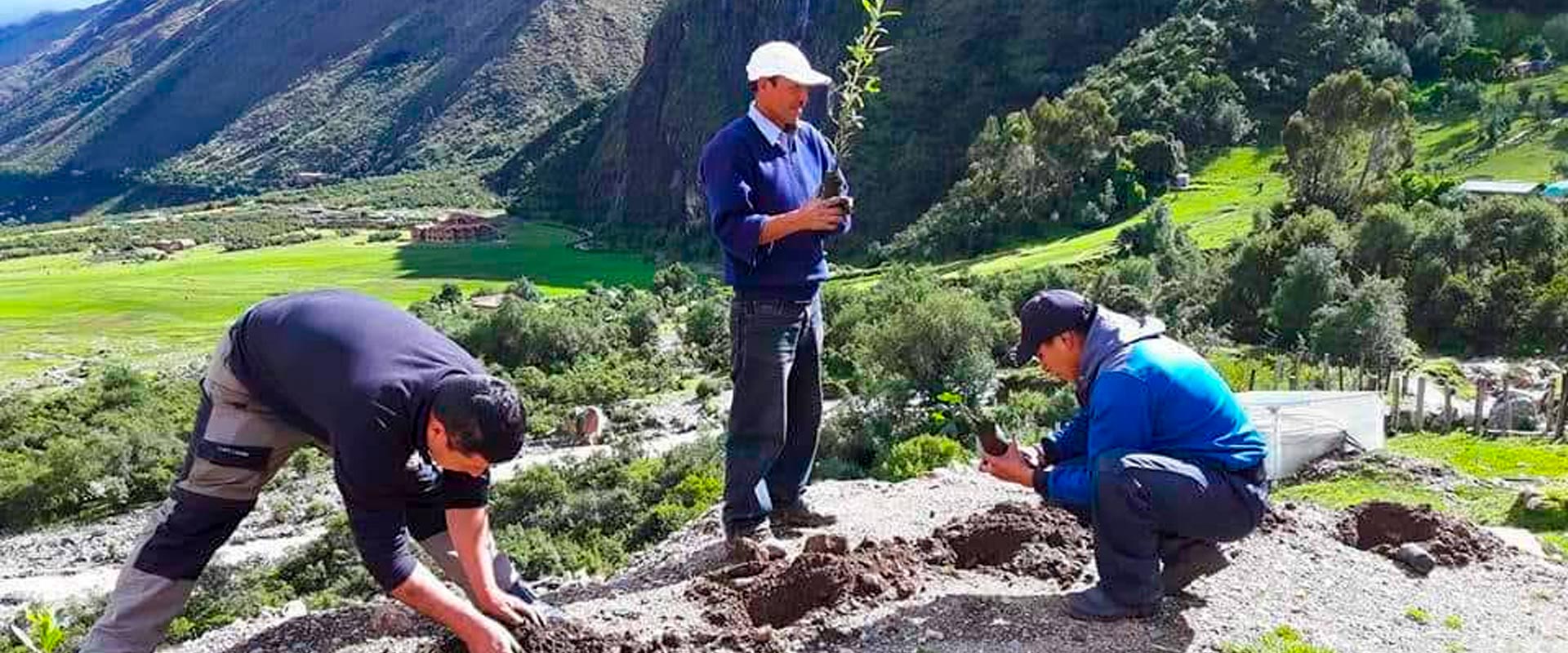 Reforestation Project